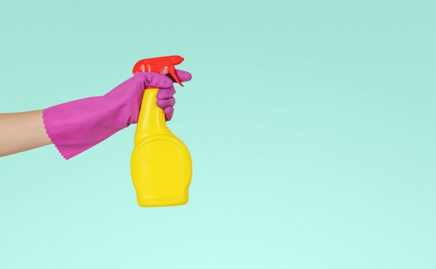 Best Toy Cleaner - Baby Bargains