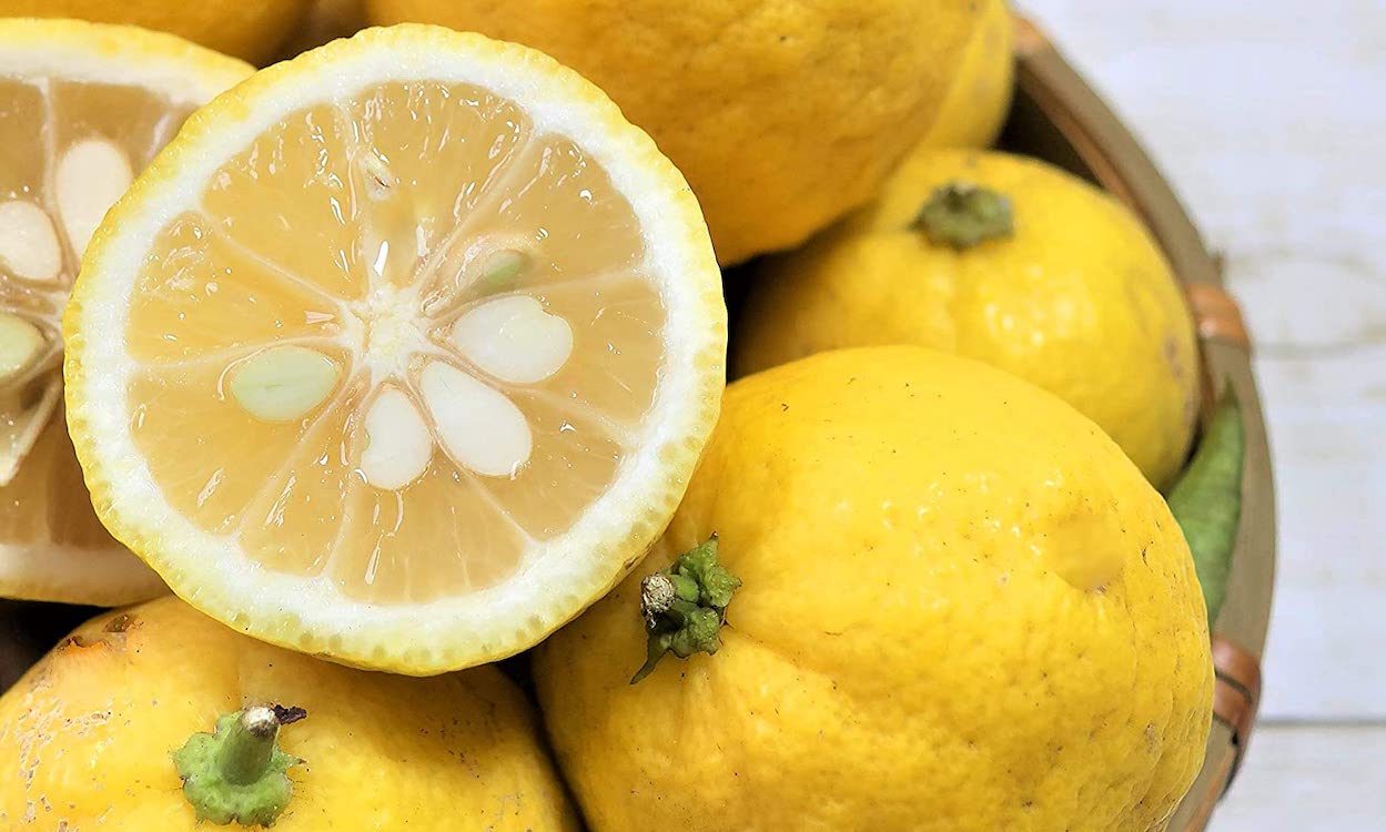 Best Yuzu - Baby Bargains